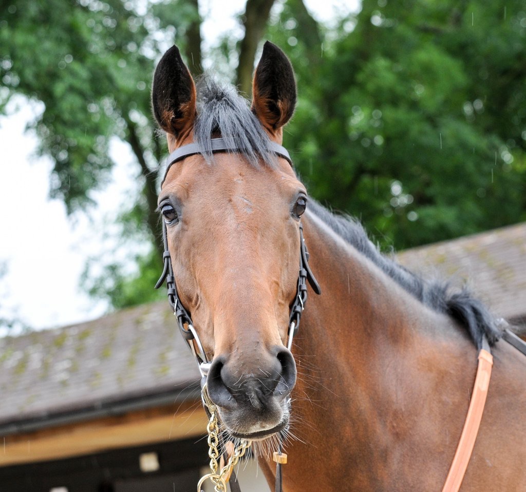 31st March 2017 - a round up of the month. | Blog