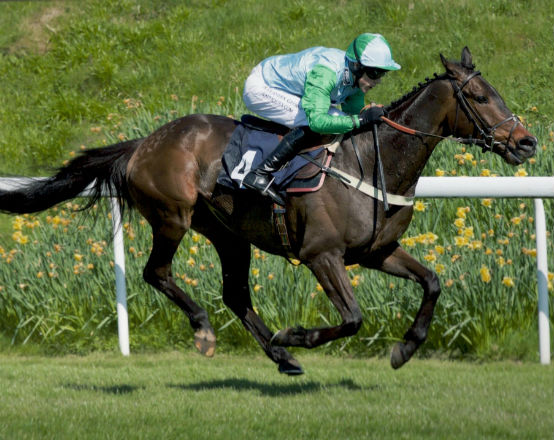 Jamie Snowden Racing