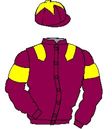 The Jamie Snowden Racing Club » Horses » Home