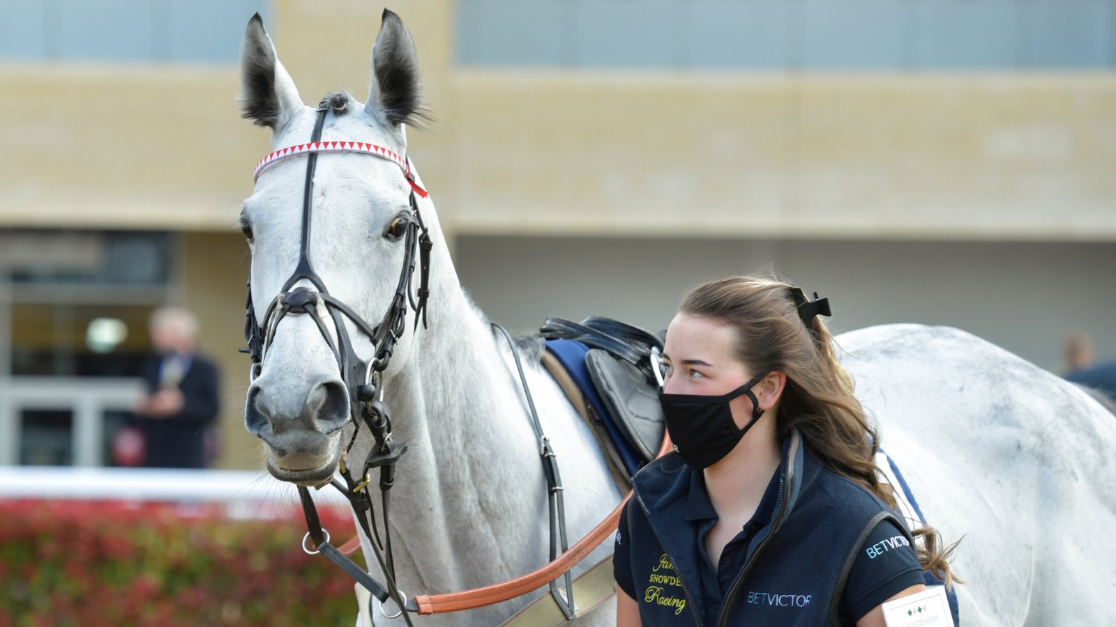 Tuesday 20th April - the Grand National, Aintree, and the final week of ...