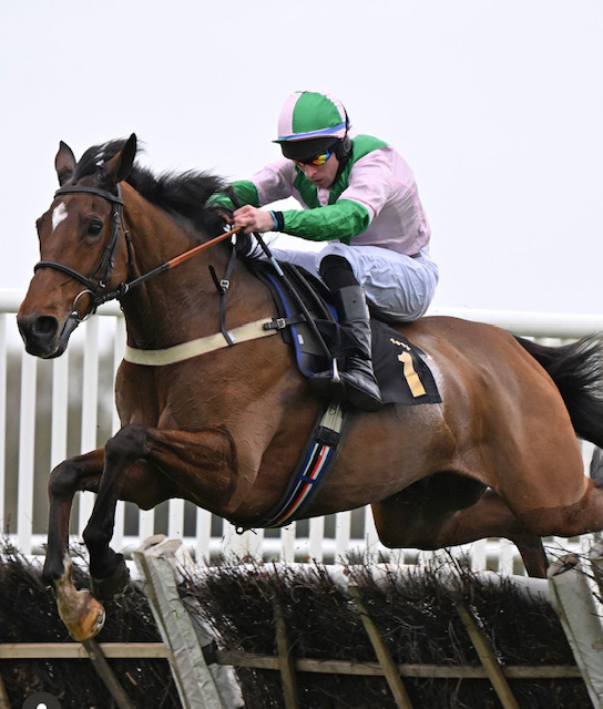 Monday 27th November 2023 - another four winners in the last fortnight ...