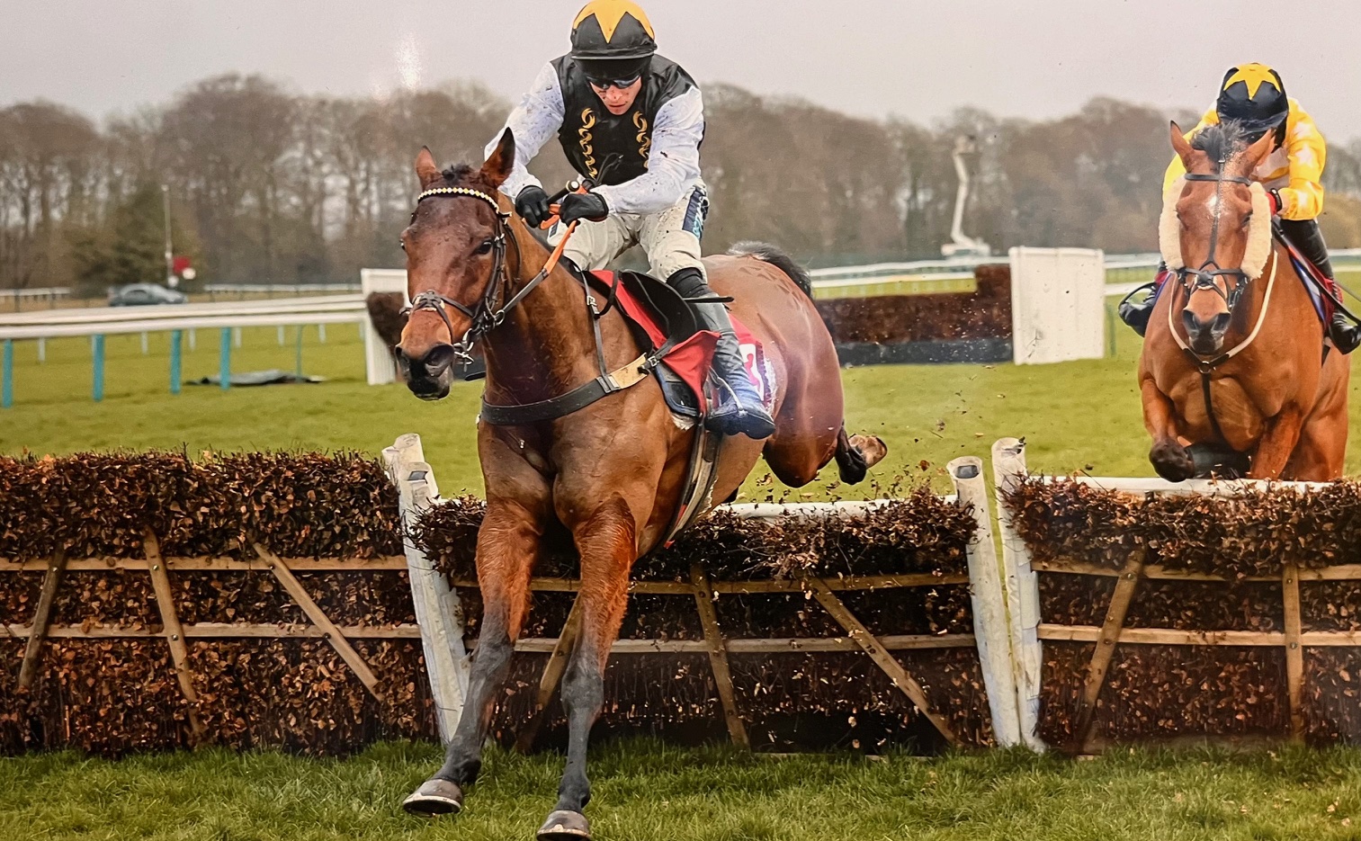 Saturday 30th March 2024 - five more winners takes us to 45 for the ...