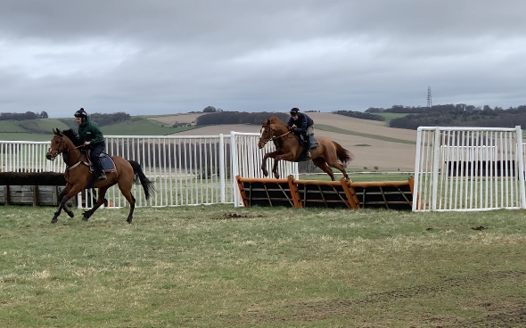 Saturday 28th March 2020 - a week into lockdown | Blog