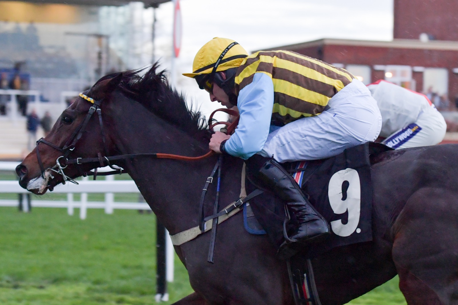 Monday 7th November 2022 - two more really exciting winners | Blog